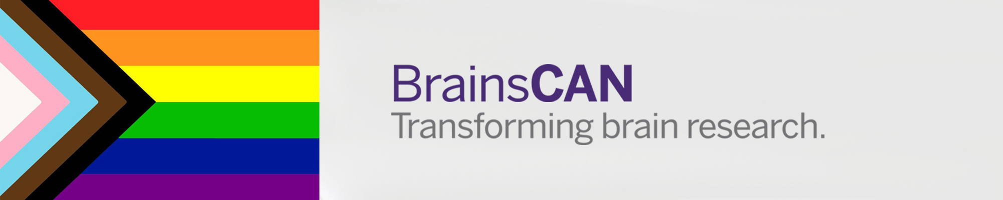 BrainsCAN - Western University